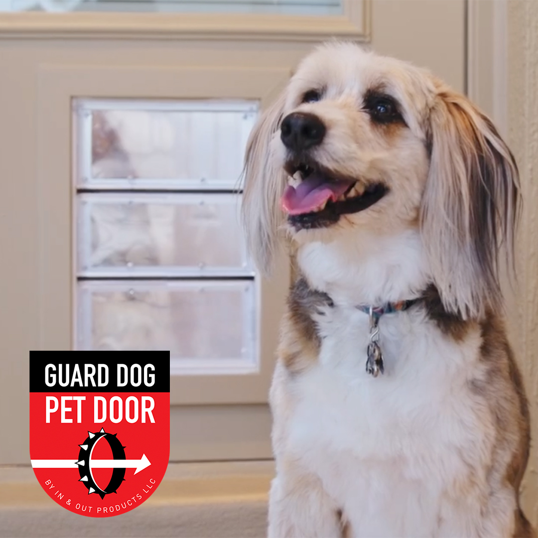 The Guard Dog™ | The Durable & Safe Choice for Pet Doors
